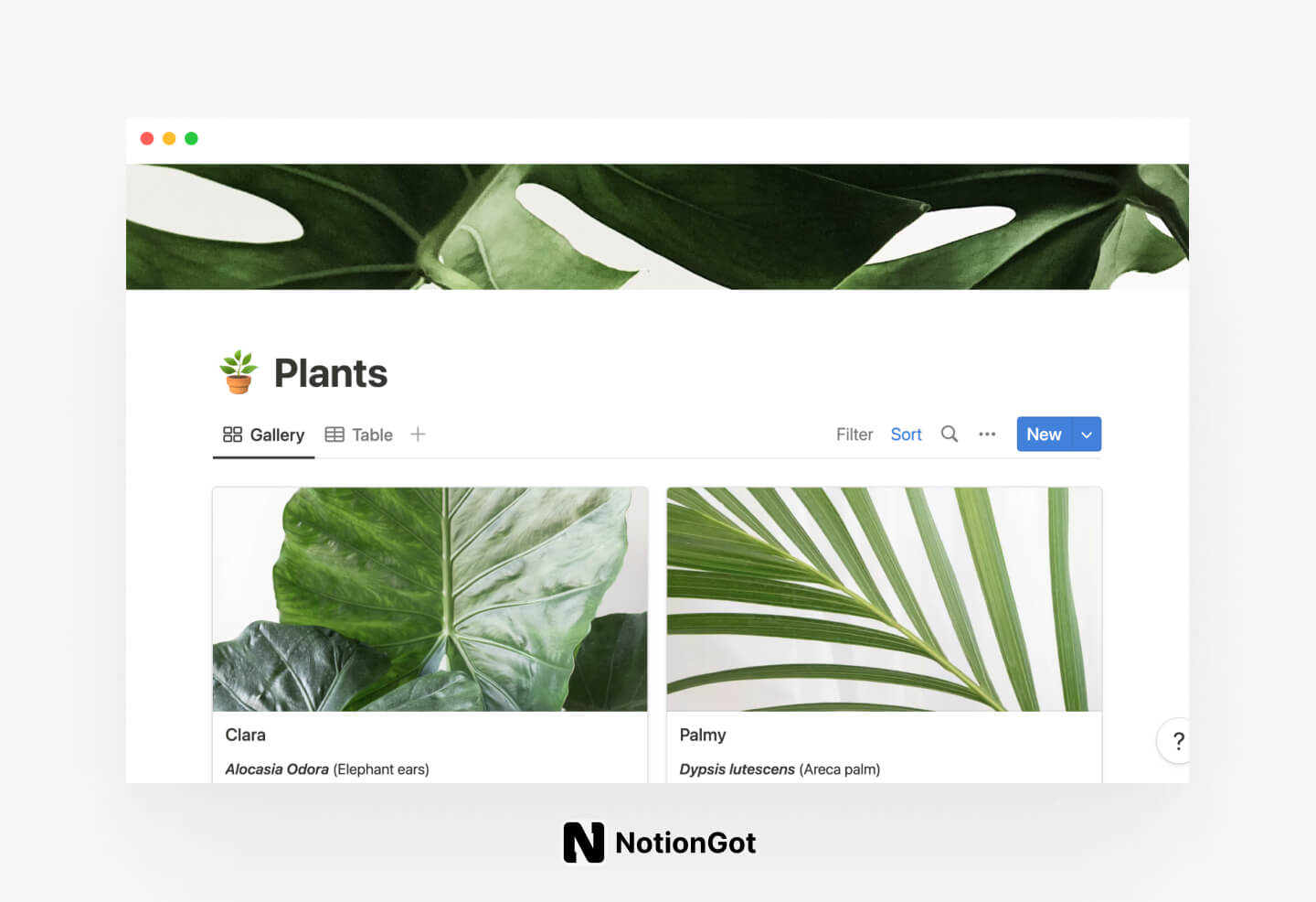 10+ Notion Templates for Gardening and Plant Care - Best Notion ...